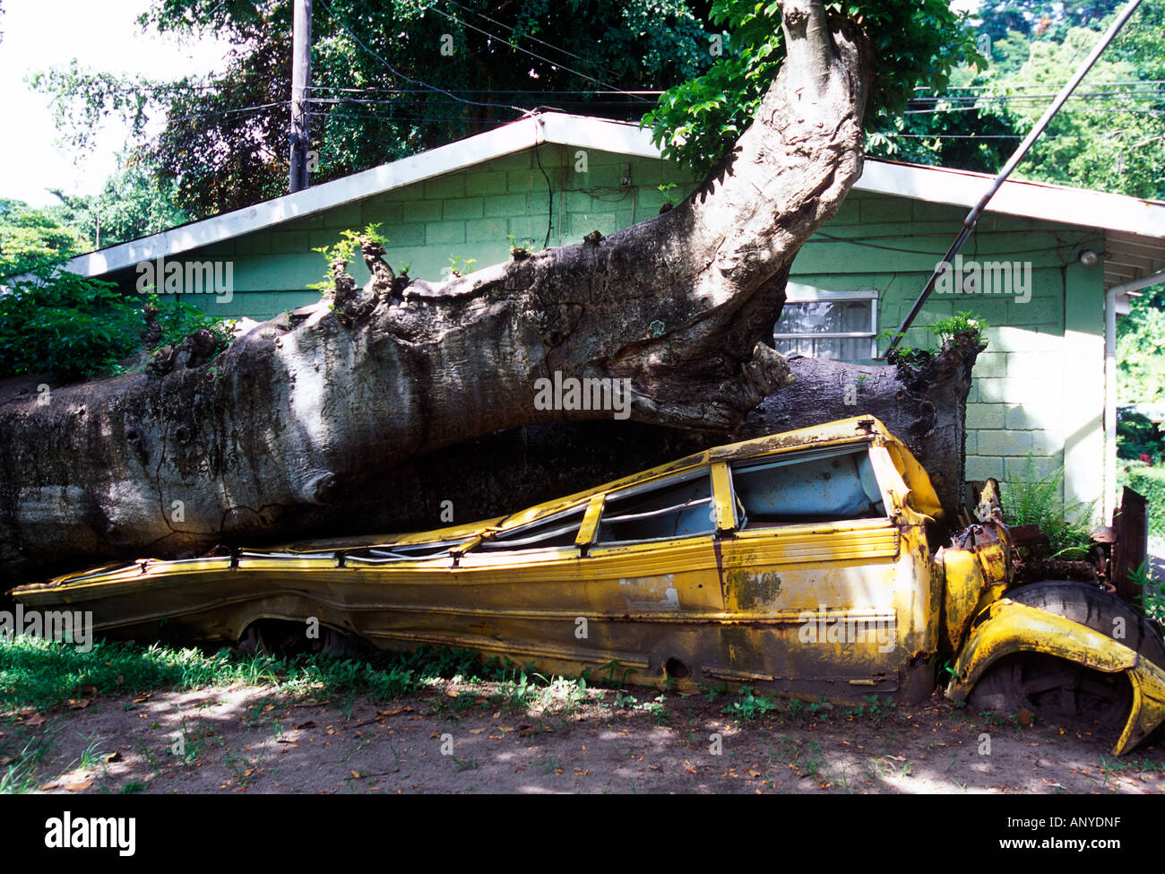 Hurricane David Damage