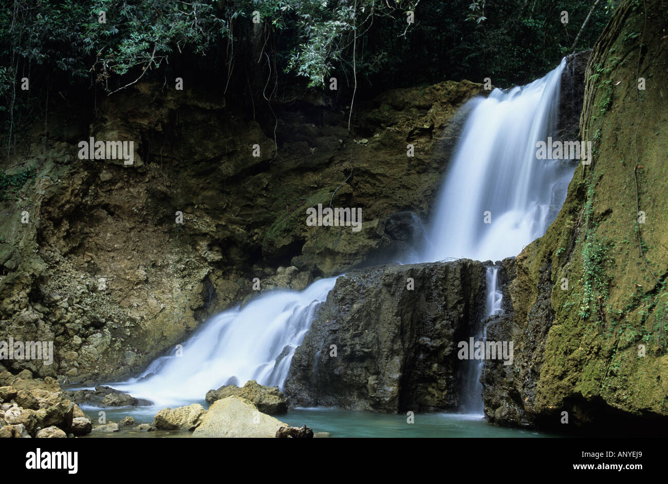 Jamaica, St. Elizabeth, YS Falls Stock Photo - Alamy