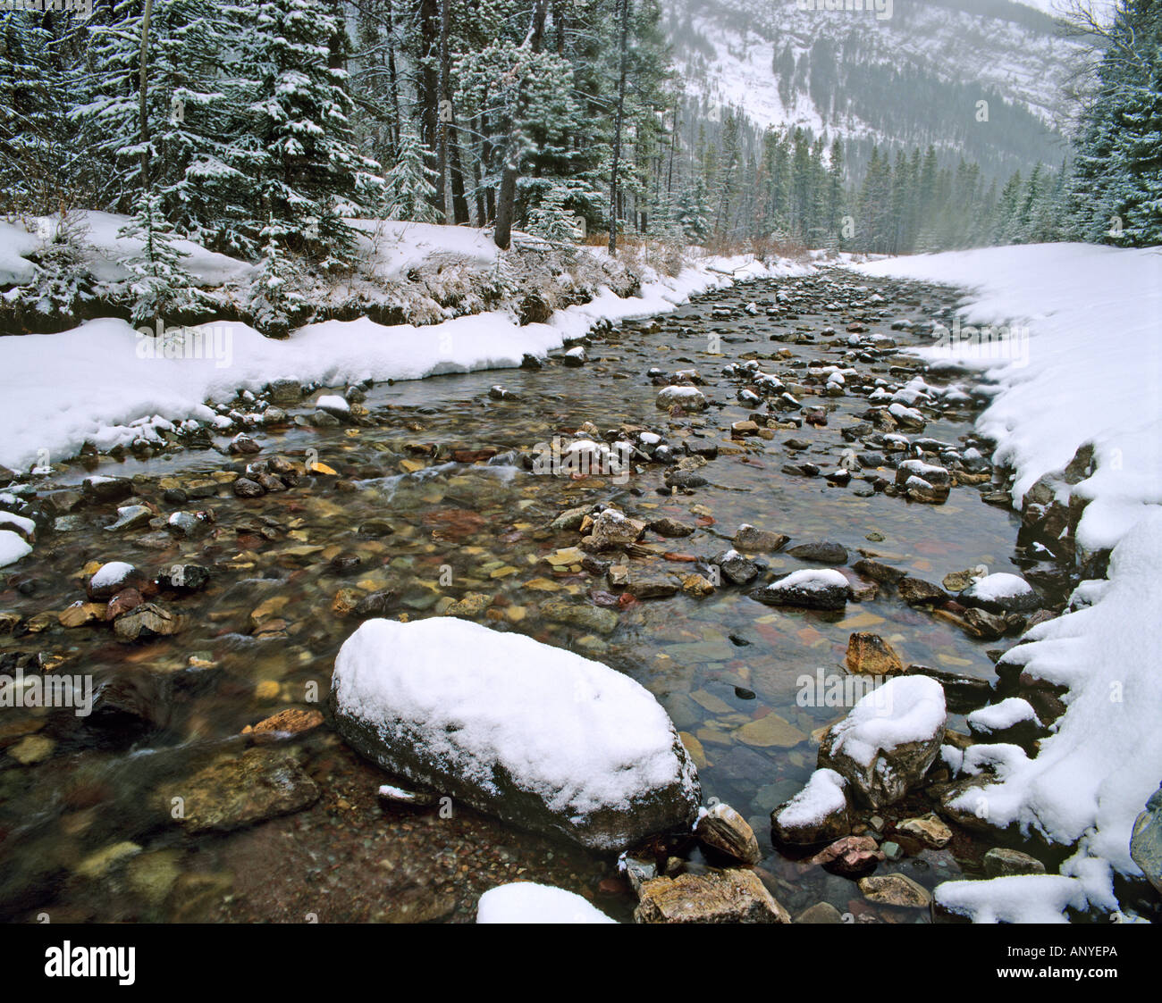 Cameron creek hi-res stock photography and images - Alamy