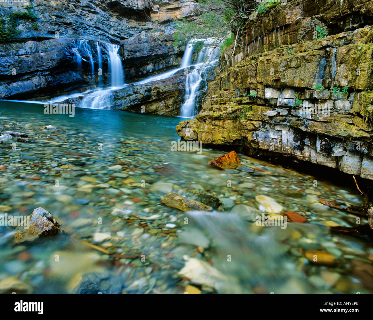 Cameron Falls in Waterton Lakes National Park in Alberta Canada Stock ...