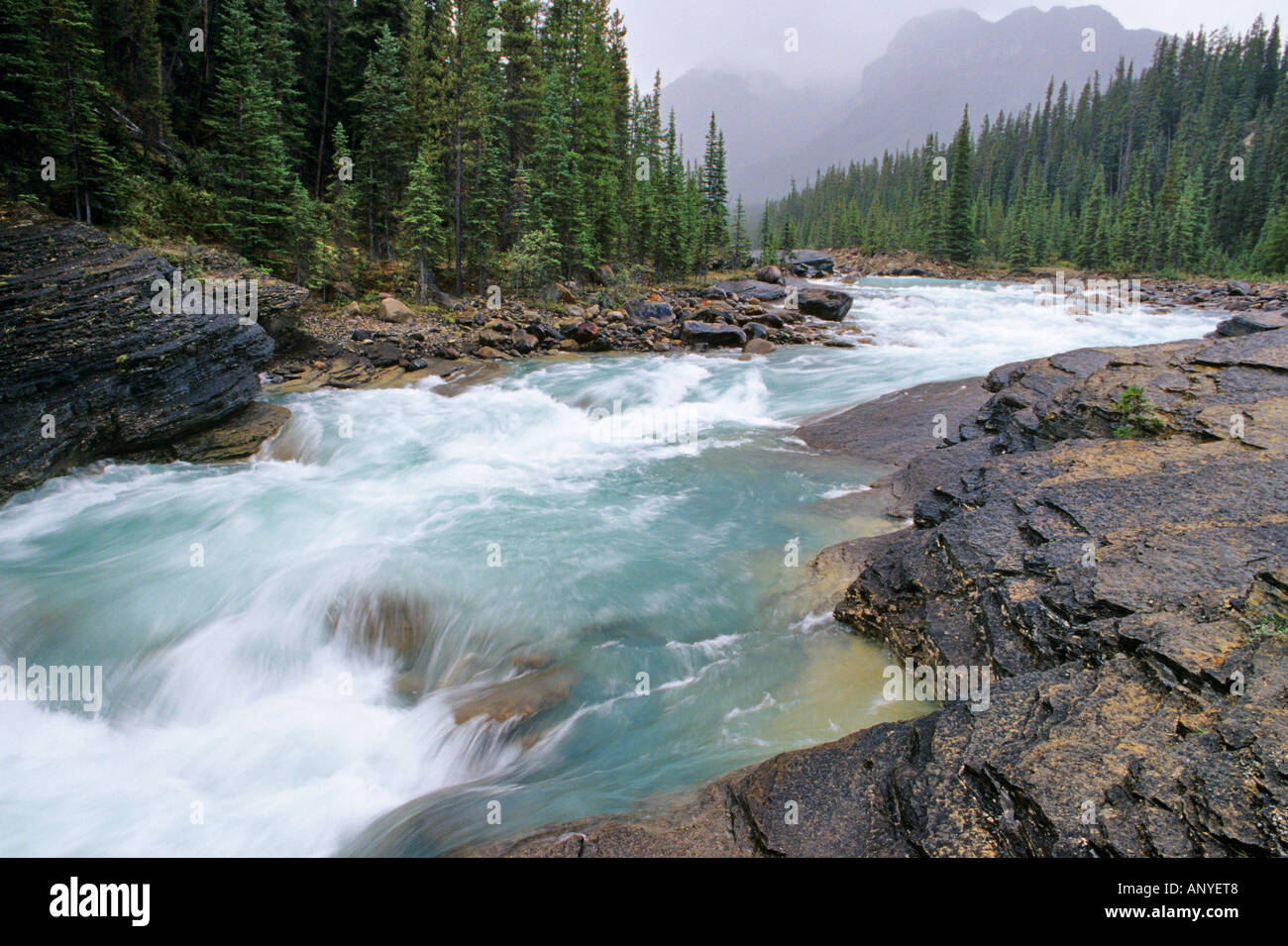 Mistaya Canyon in Banff National Park in Alberta Canada Stock Photo - Alamy