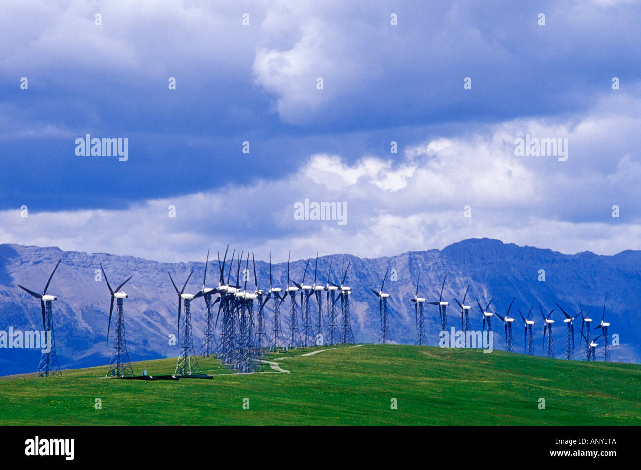 Windmills at Pincher Creek, Alberta, Canada Stock Photo - Alamy