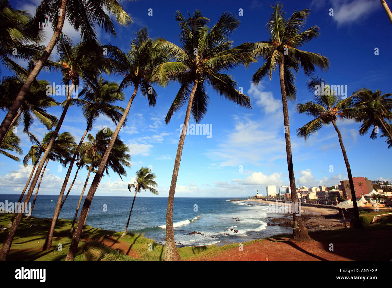 Brazil beach bahia brasil beaches hi-res stock photography and images ...