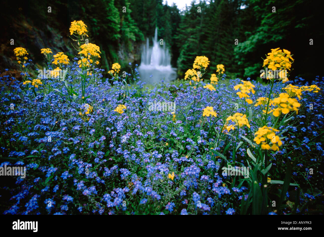 The ross fountain butchart gardens hi-res stock photography and images ...