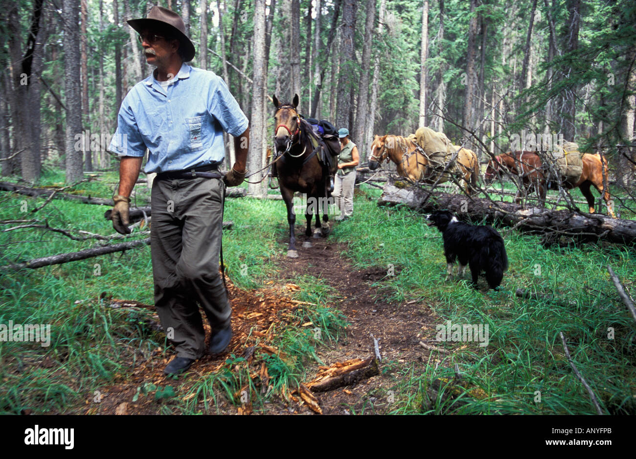 Canada, British Columbia, Muskwa Kechika Managment Area Stock Photo - Alamy