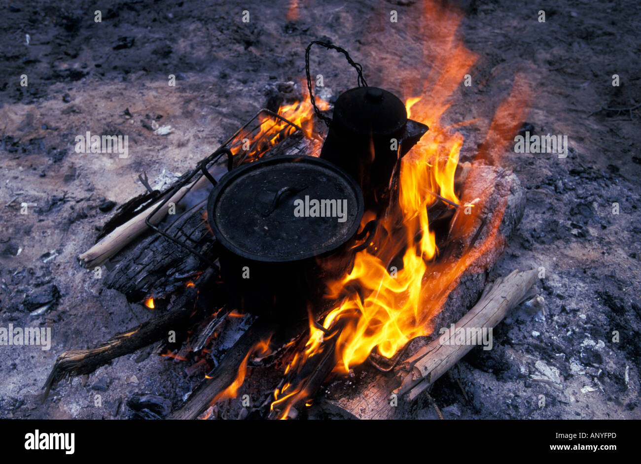Muskwa Stock Photos & Muskwa Stock Images - Alamy