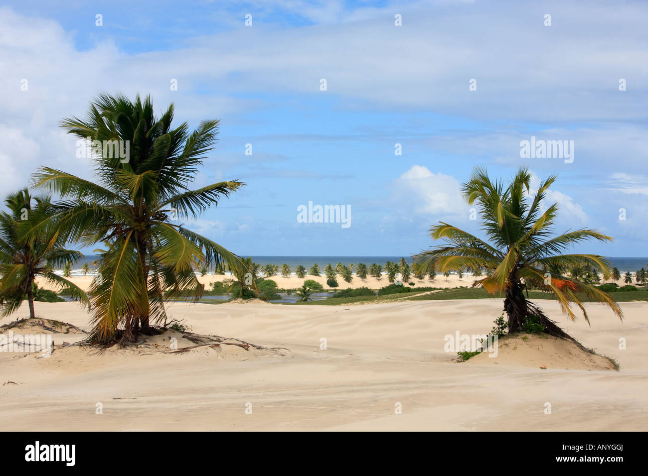 big sand dune of Mangue Seco in bahia state brazil Stock Photo - Alamy