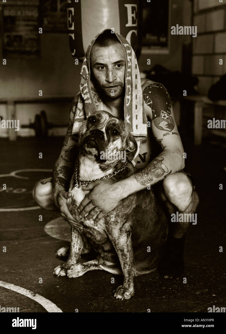 Portrait of tattooed boxer with his pet dog Stock Photo - Alamy