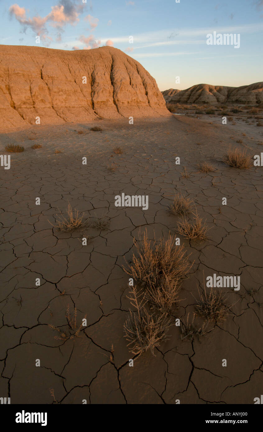 Special substrate hi-res stock photography and images - Alamy