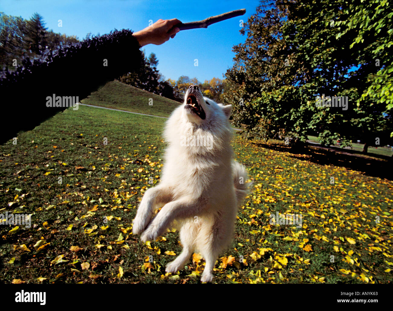 Interested jump hi-res stock photography and images - Alamy