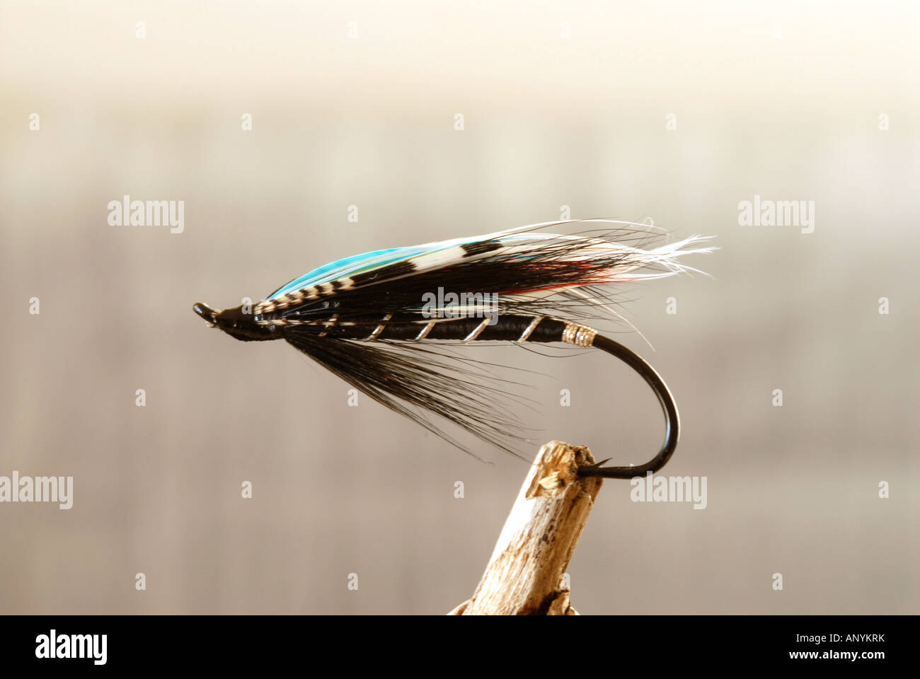 Salmon Fly Fishing Bait Stock Photo - Alamy