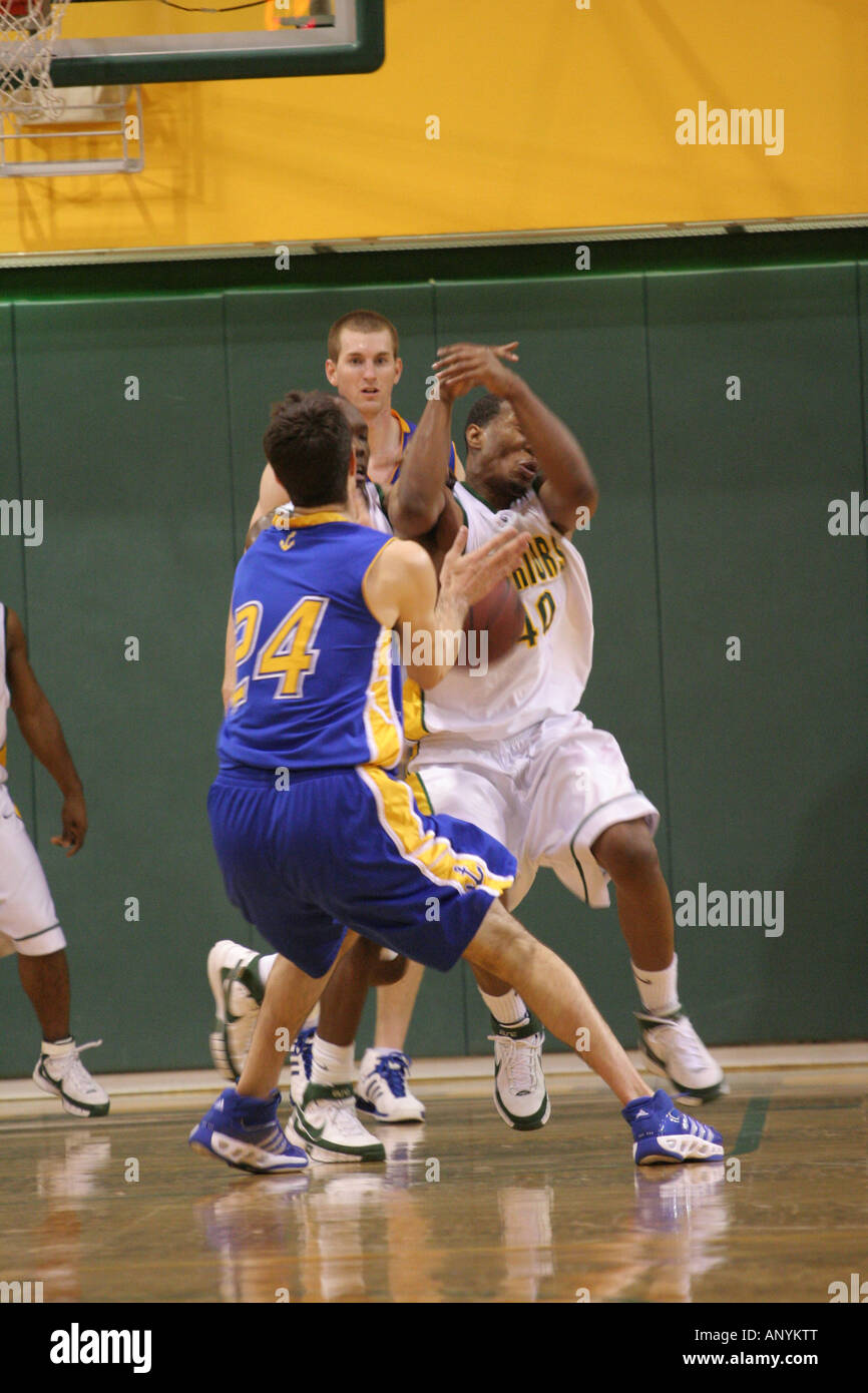 Wayne State University Men's Basketball Stock Photo - Alamy