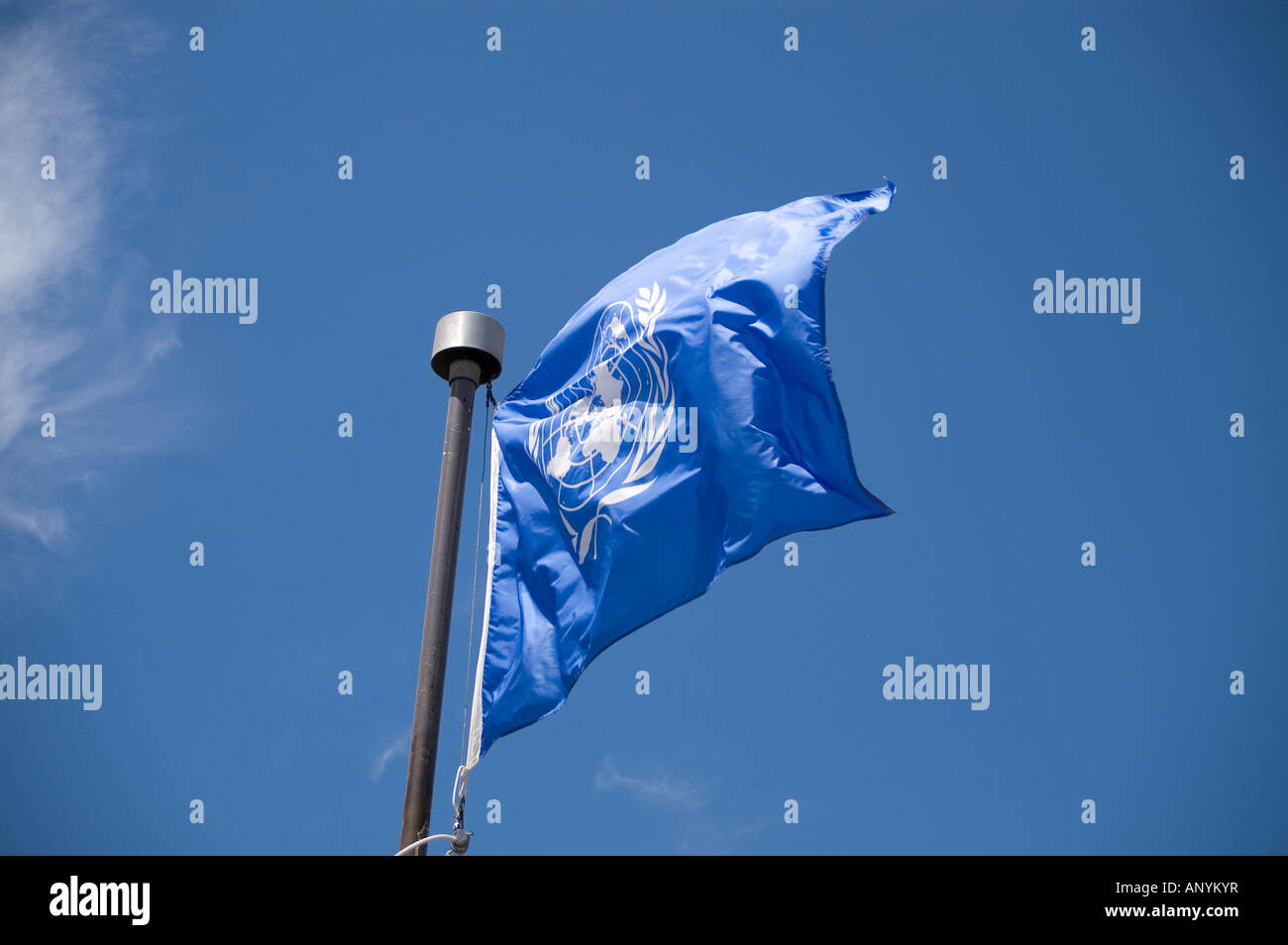 United nations flag Stock Photo - Alamy