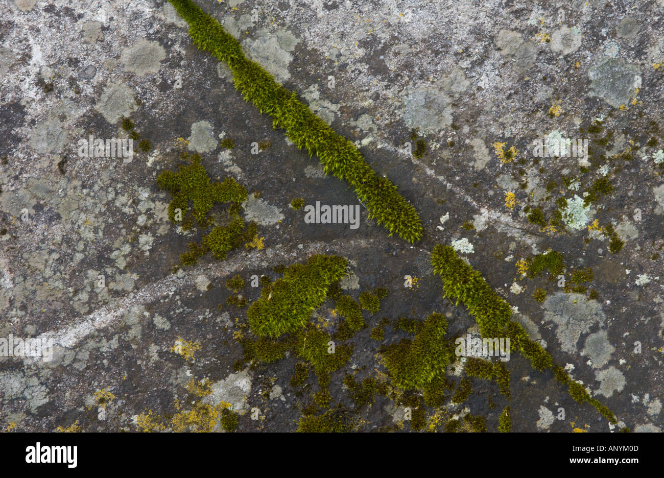 Thick heavy dense mineral hi-res stock photography and images - Alamy