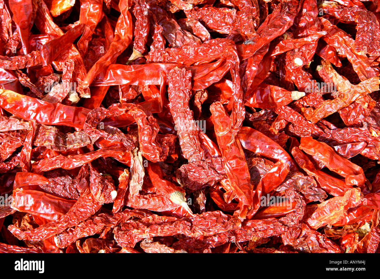 red hot chillies at display in market Stock Photo - Alamy