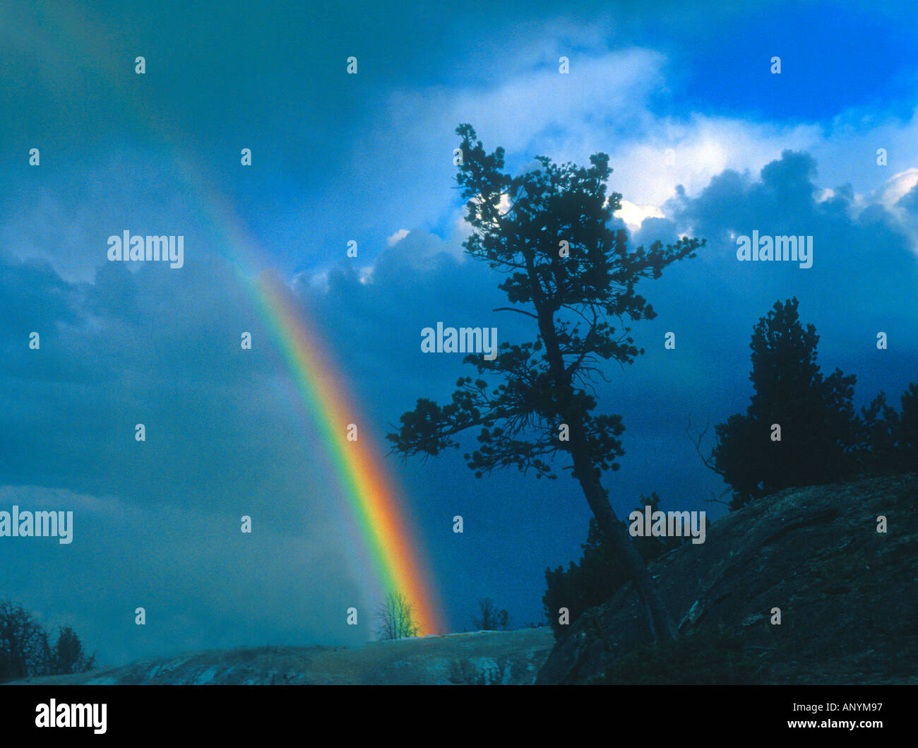 half rainbow next to tree Stock Photo - Alamy