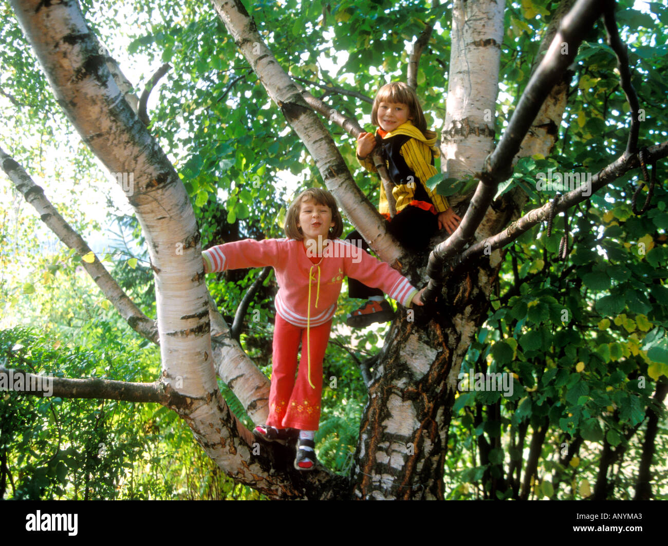 Scared person on tree branch hi-res stock photography and images - Alamy