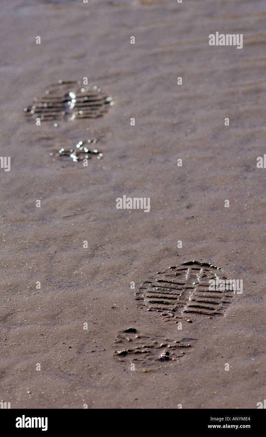 Muddy shoe print hi-res stock photography and images - Alamy