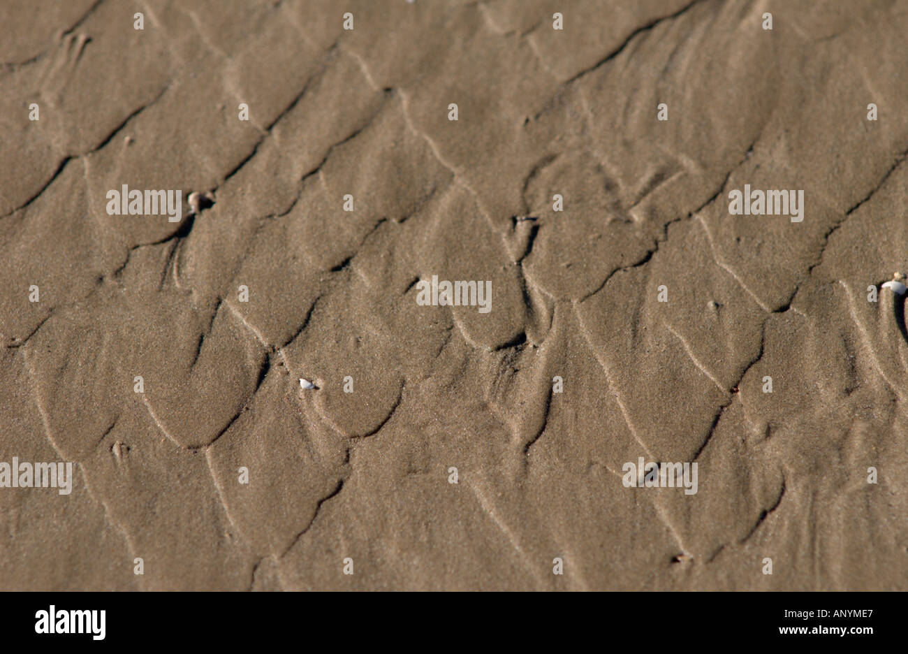 Coastal erosion and deposition hi-res stock photography and images - Alamy