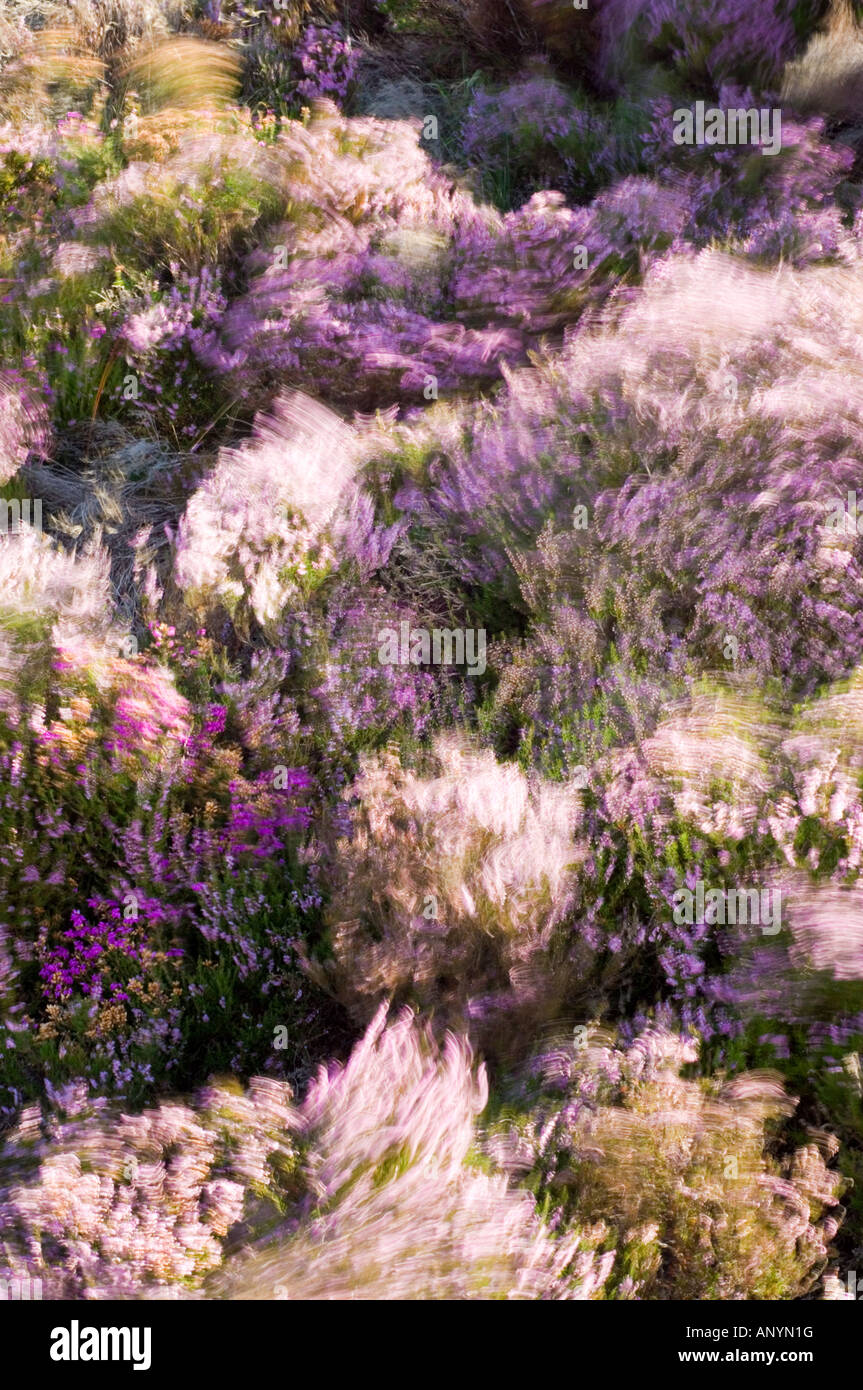 Scottish moor land hi-res stock photography and images - Alamy