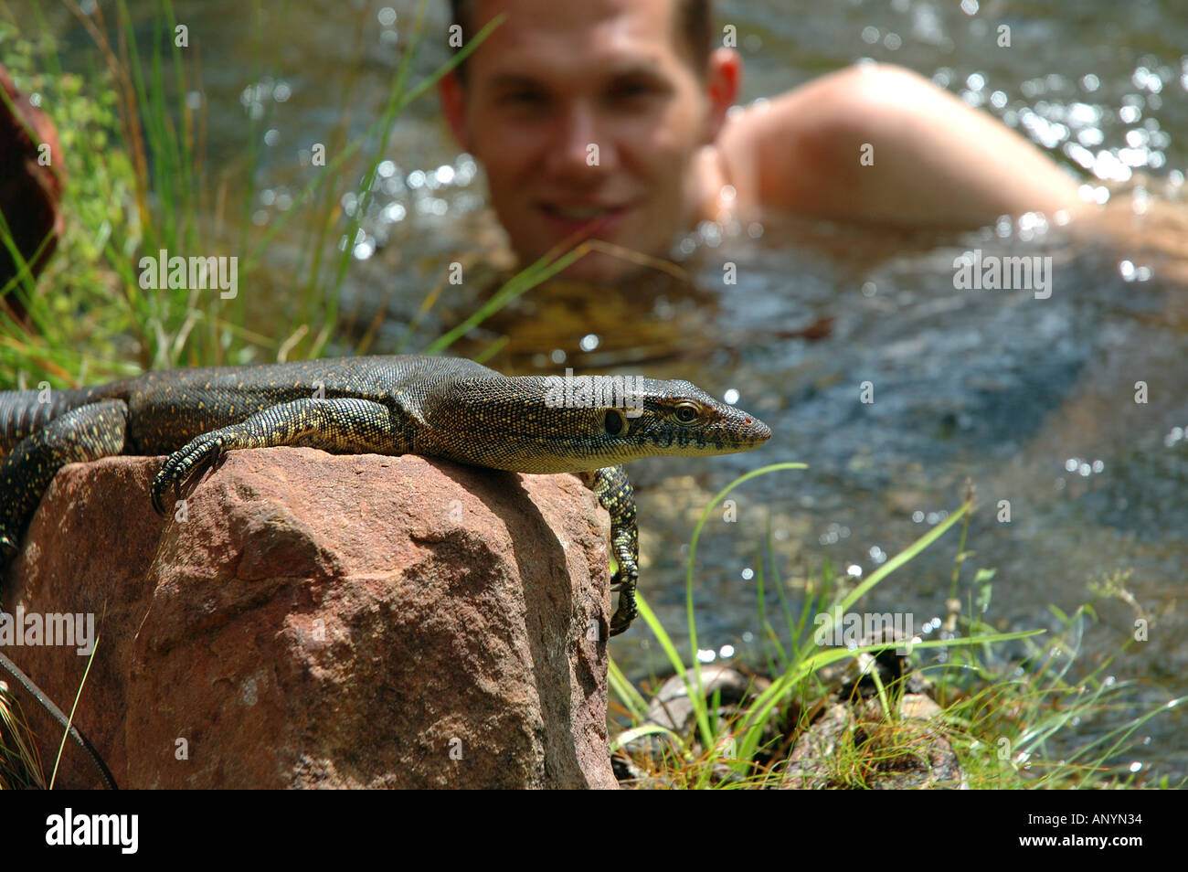 Man with monitor lizard hi-res stock photography and images - Alamy