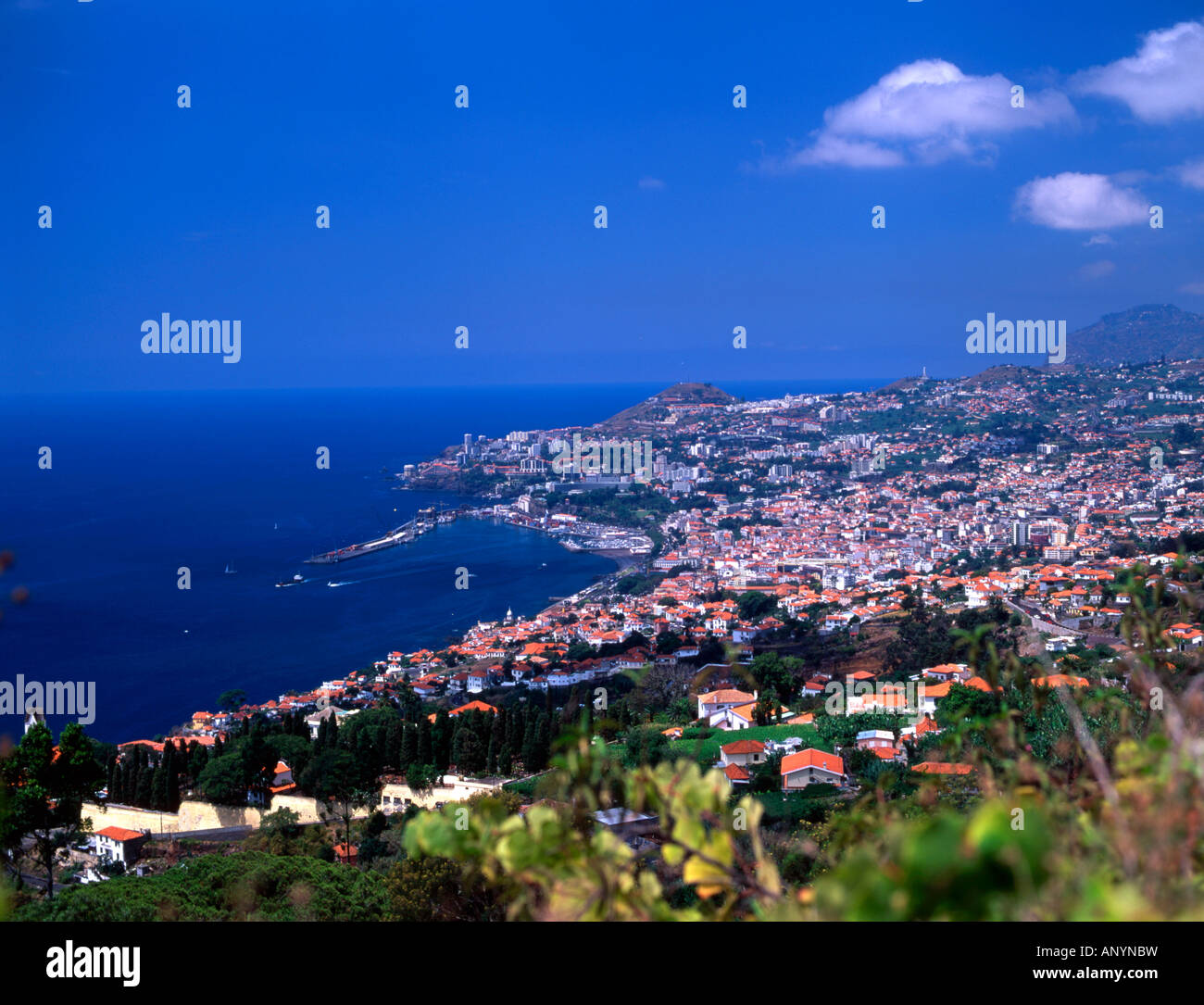 Funchal city hillside hi-res stock photography and images - Alamy