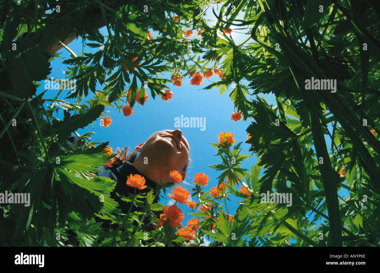 Effulgent sun hi-res stock photography and images - Alamy