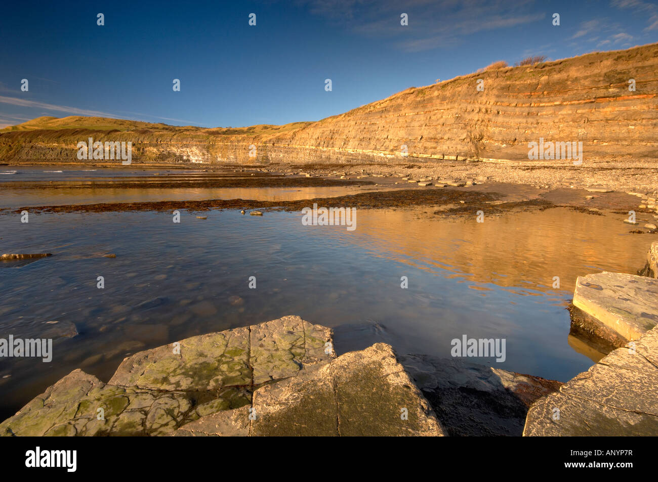 Layered jurassic cliffs at Kimmeridge bay in Dorset UK Stock Photo - Alamy