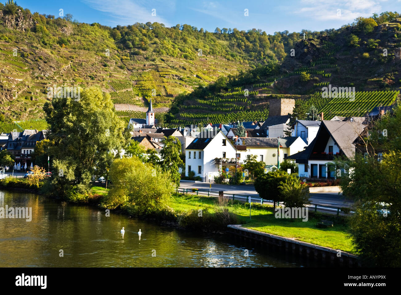 Town alken vineyards hi-res stock photography and images - Alamy