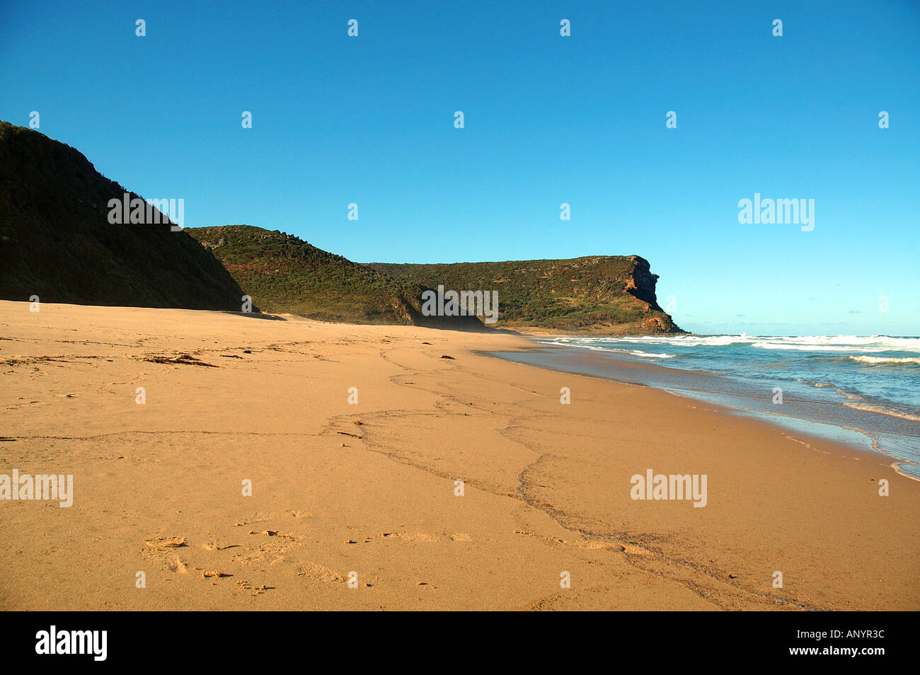 Garie Beach - Australia Stock Photo - Alamy