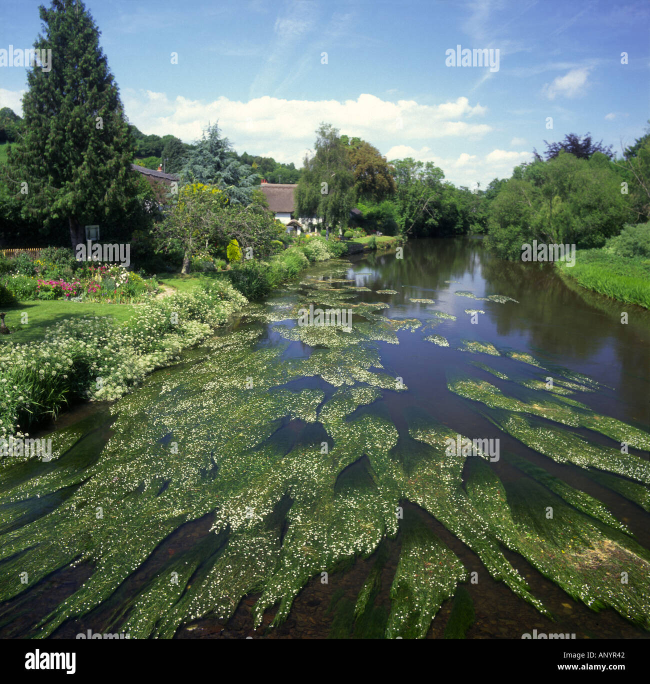 Bickleigh Bridge Tiverton Devon Stock Photo - Alamy