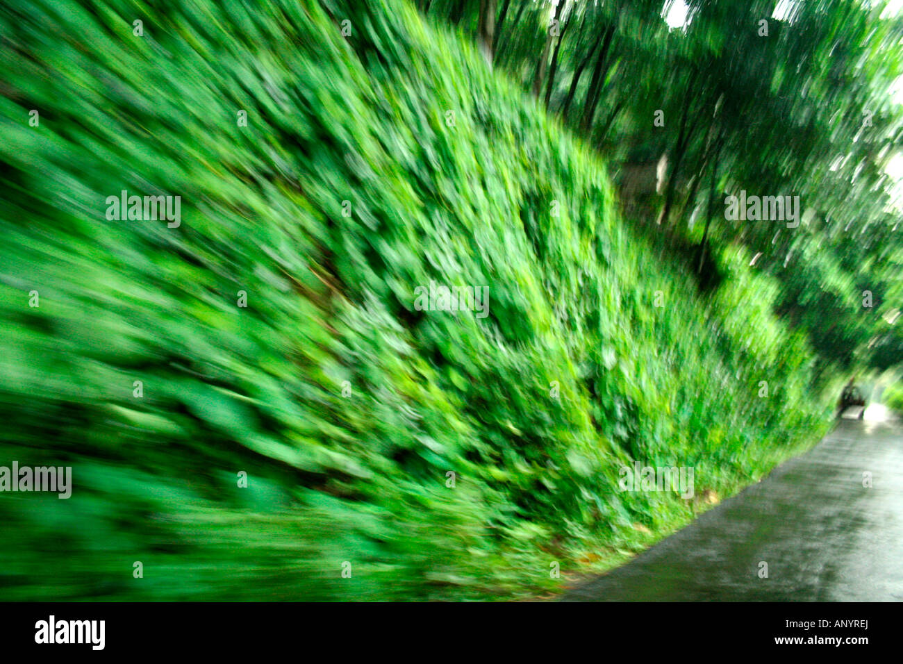 Green embankment side of road visible from car on a drive through a ...
