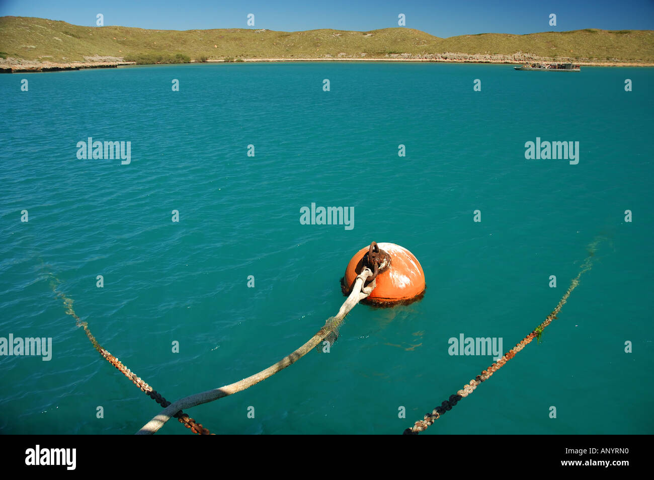 Cyclone mooring designed to enable floating infrastructure to withstand ...