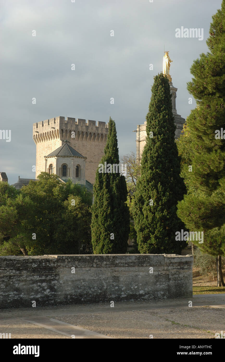 Tall thin cypress hi-res stock photography and images - Alamy