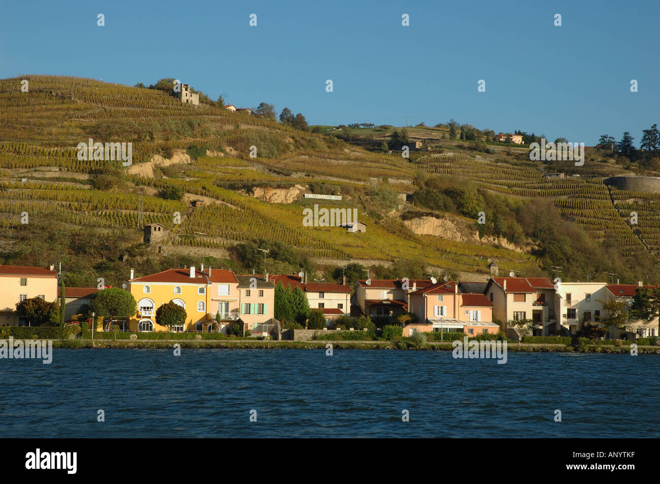 Vineyard condrieu rhone france hi-res stock photography and images - Alamy