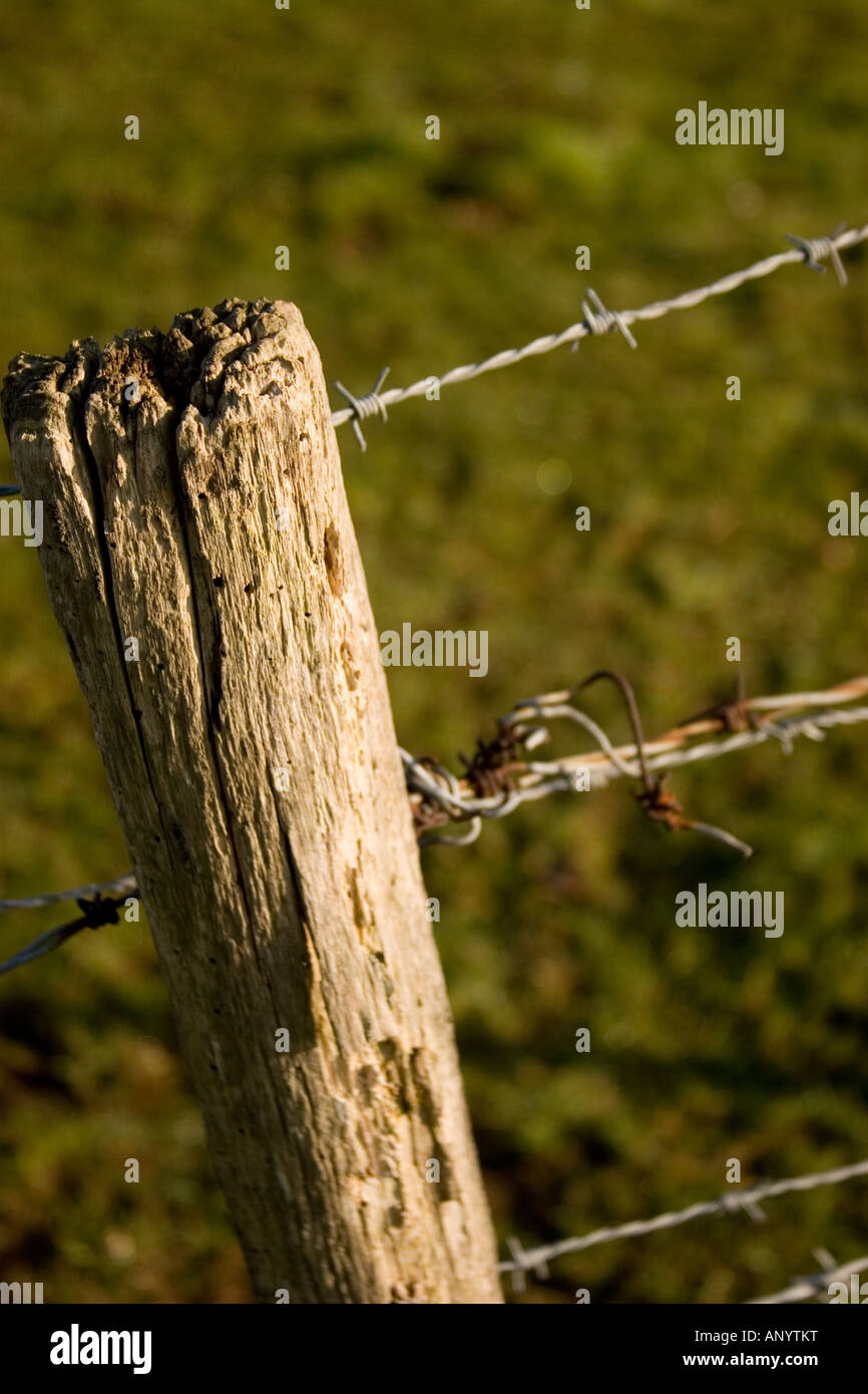 Barbed wire fence and post around a agricultural field Stock Photo - Alamy