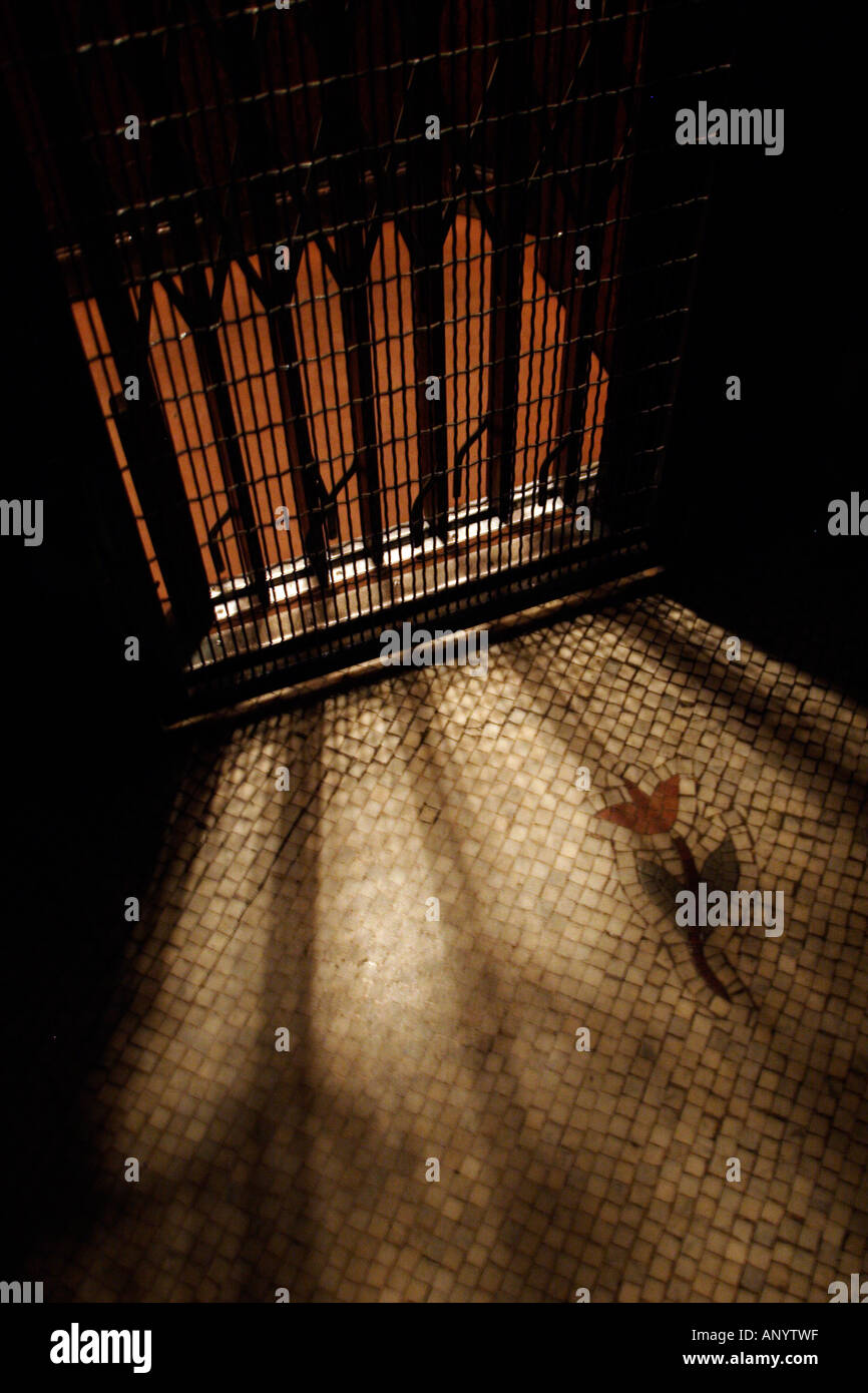 France, Paris, Old elevator at ground floor Stock Photo - Alamy