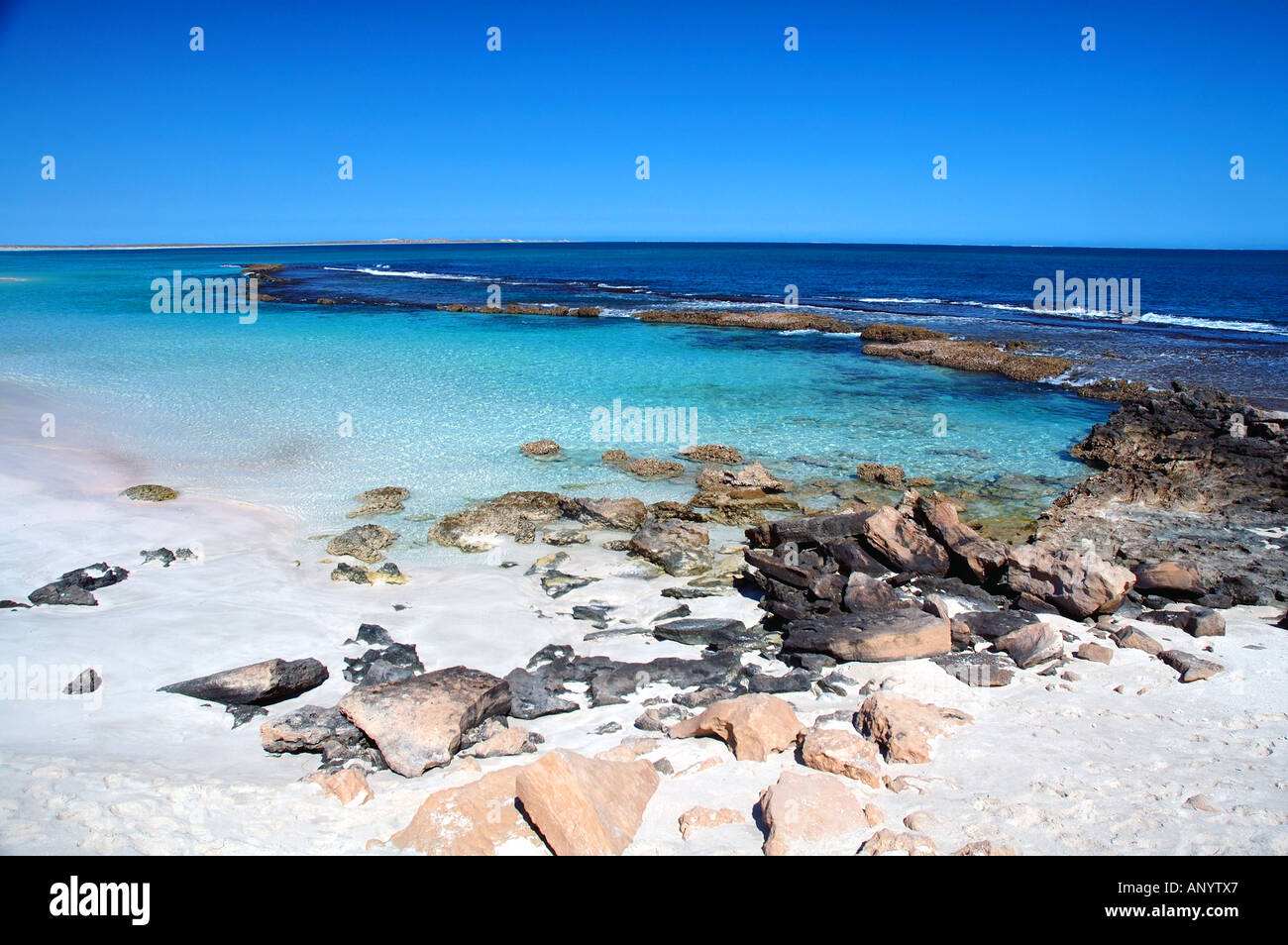 Oyster Ridge Ningaloo Reef Marine Park Western Australia Stock Photo ...