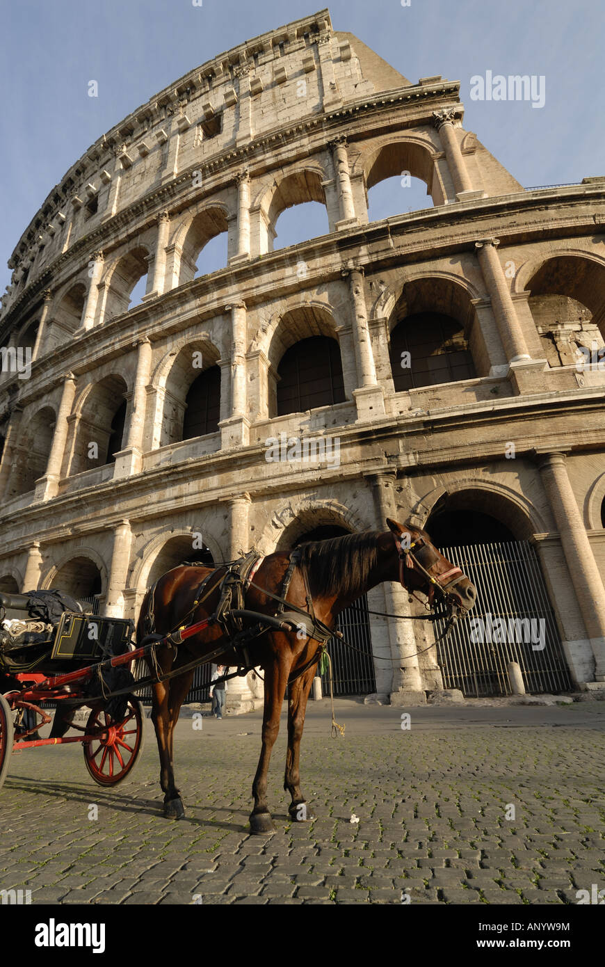 Italy rome colosseum horse carriage hi-res stock photography and images ...