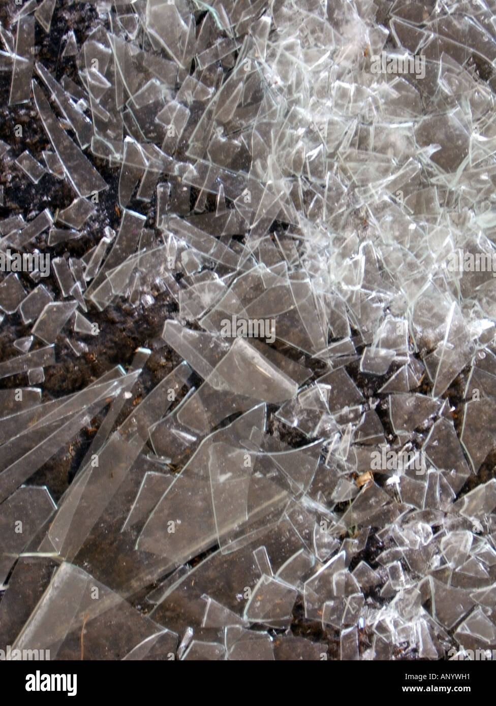 Burglarly hi-res stock photography and images - Alamy