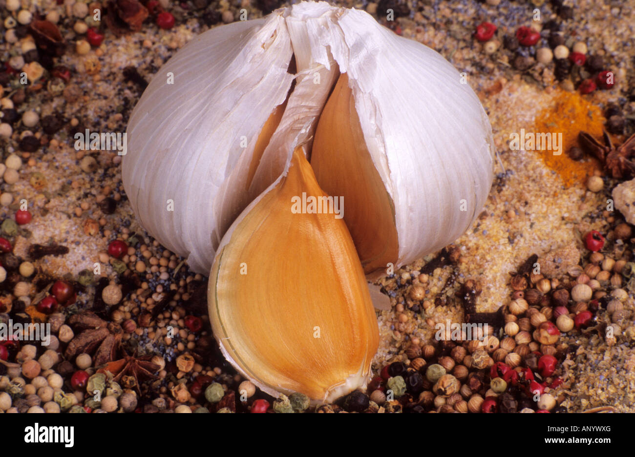 Elephant spices hi-res stock photography and images - Alamy