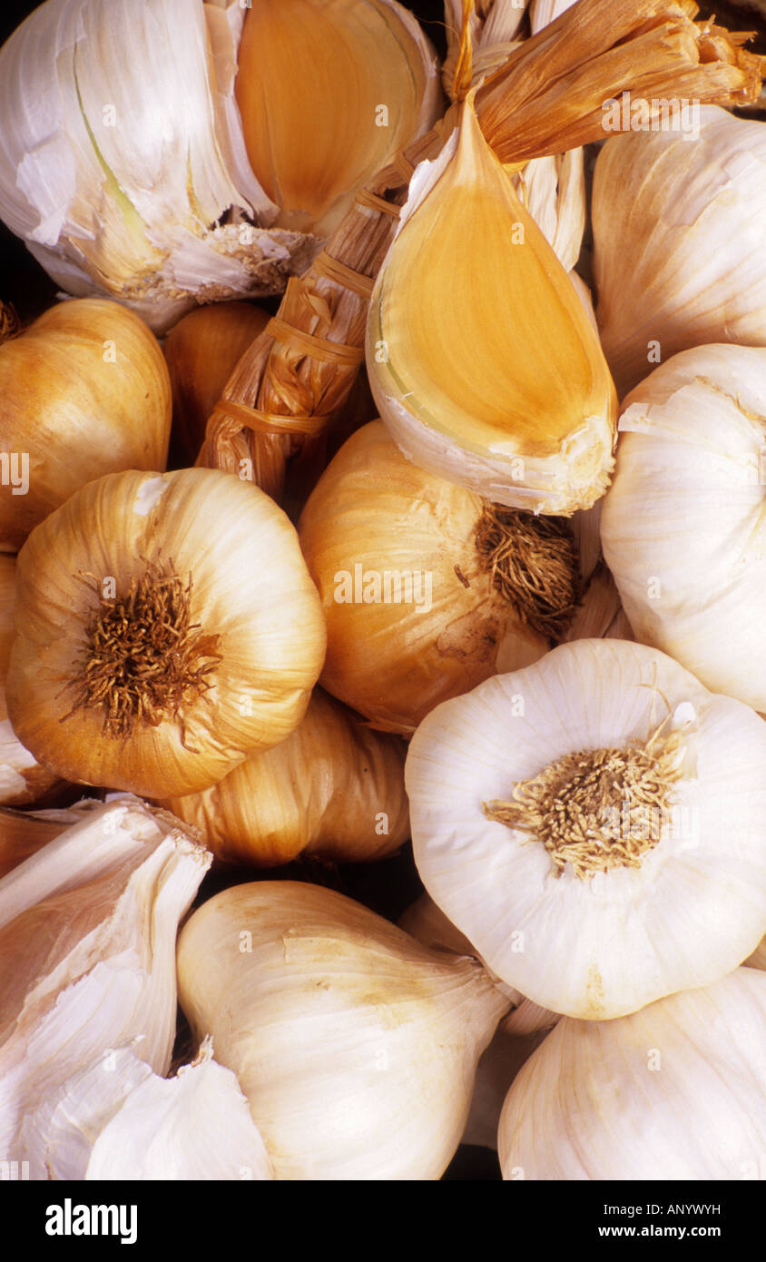 Elephant garlic cloves hi-res stock photography and images - Alamy