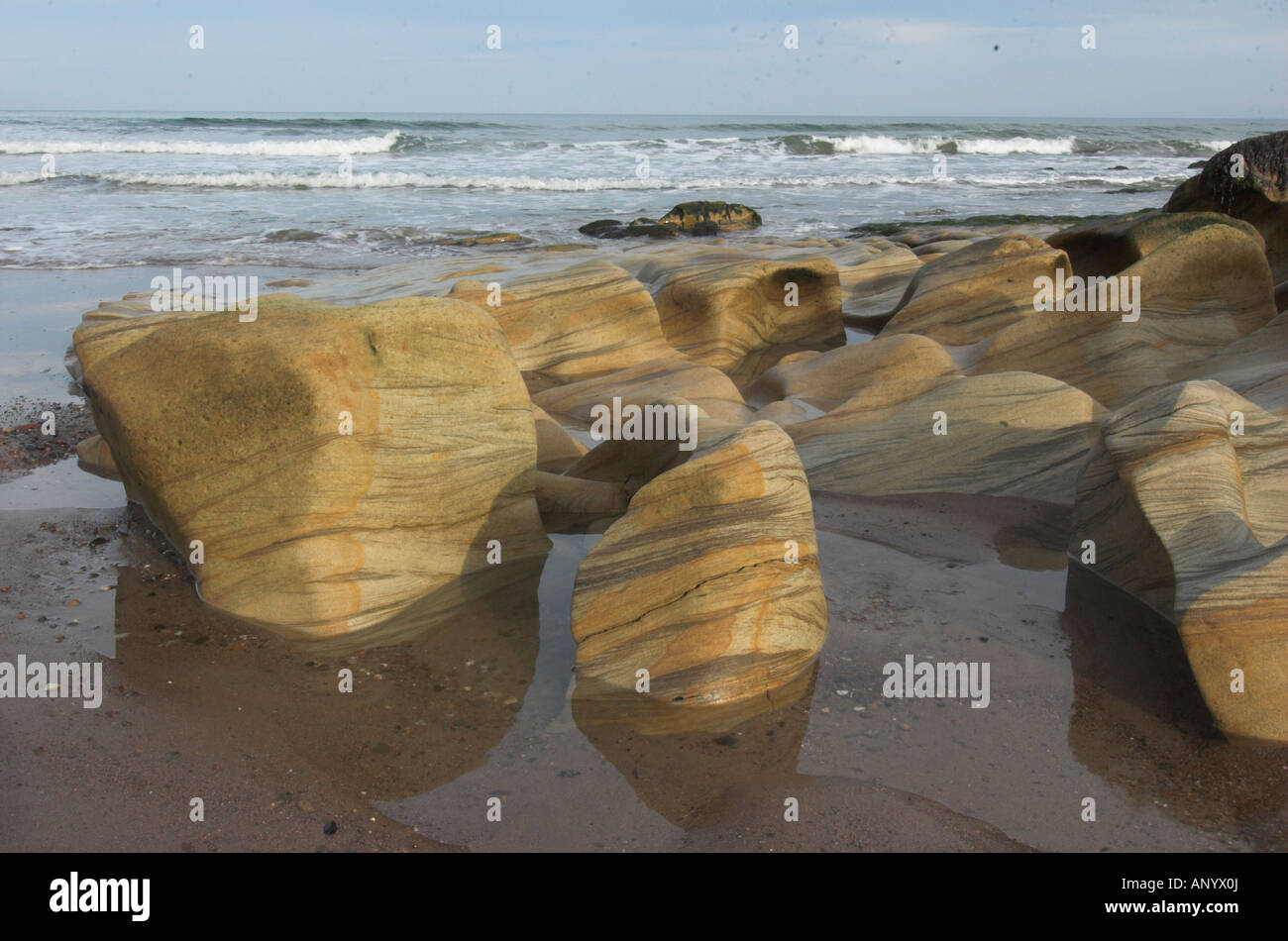 Sandstone shaped by sea erosion hi-res stock photography and images - Alamy