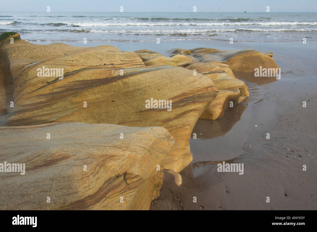 Sandstone shaped by sea erosion hi-res stock photography and images - Alamy