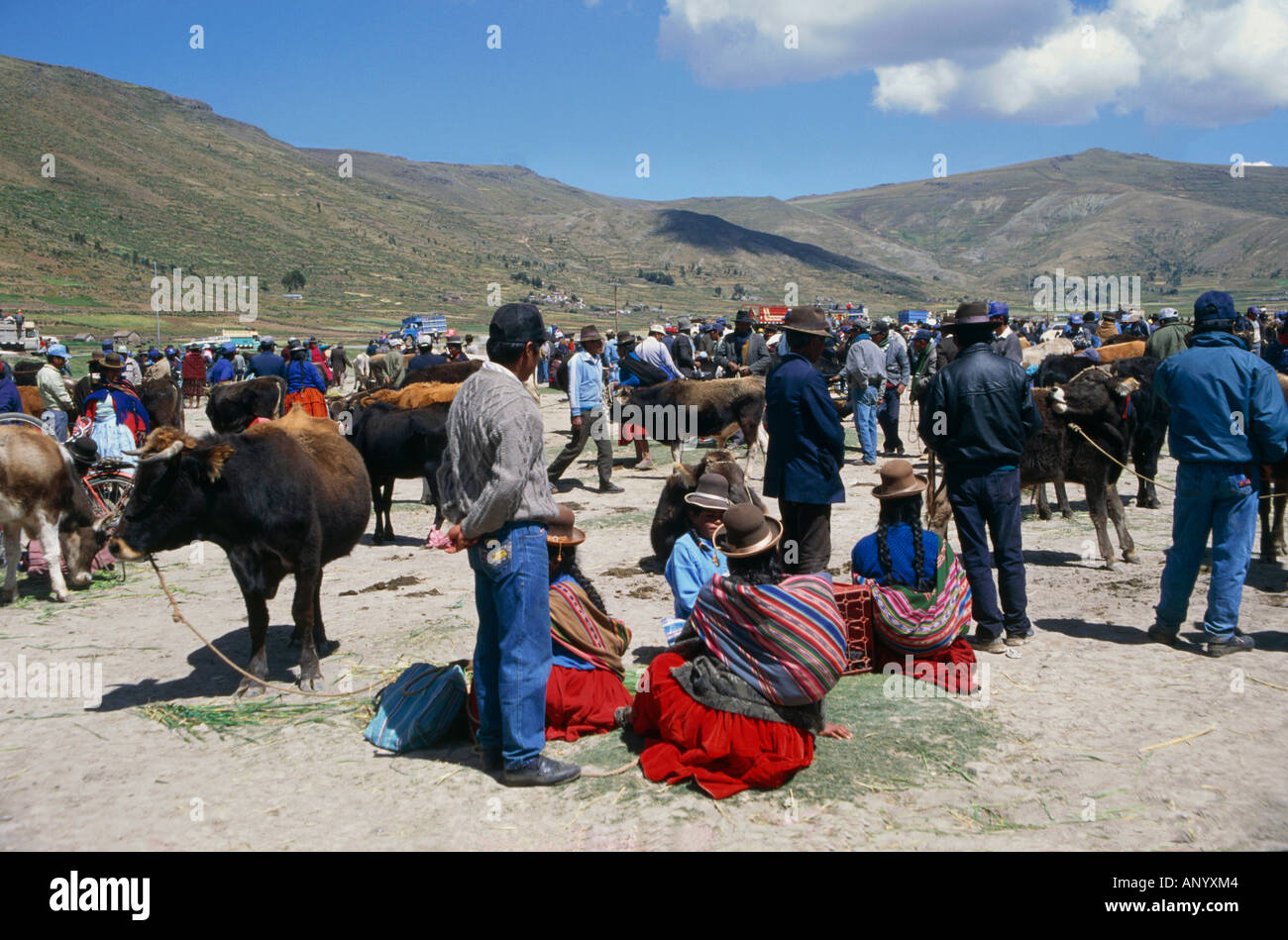 Indianer peru hi-res stock photography and images - Alamy