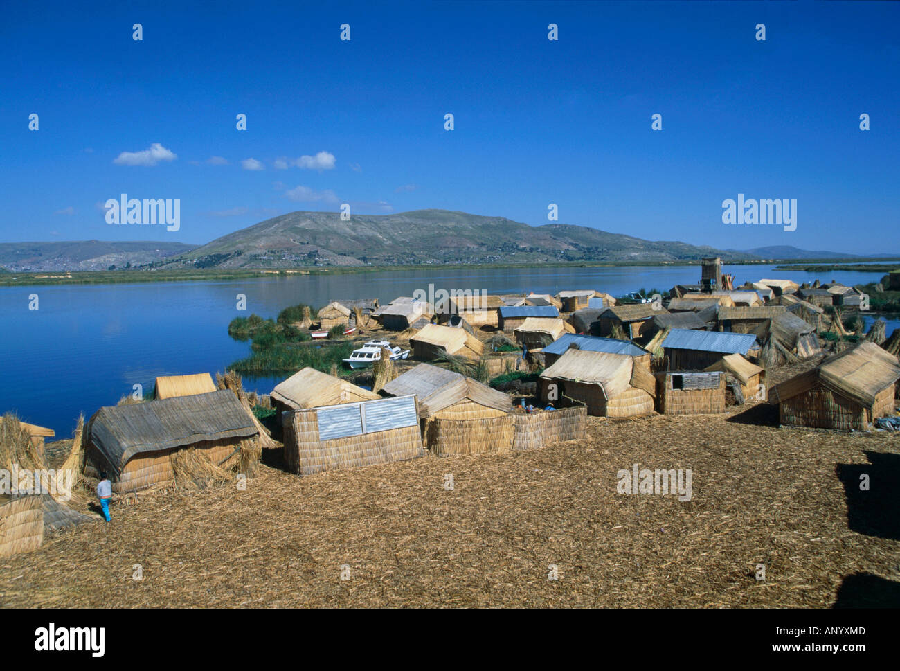 floating island made by totora reed lake titicaca peru bolivia Stock ...