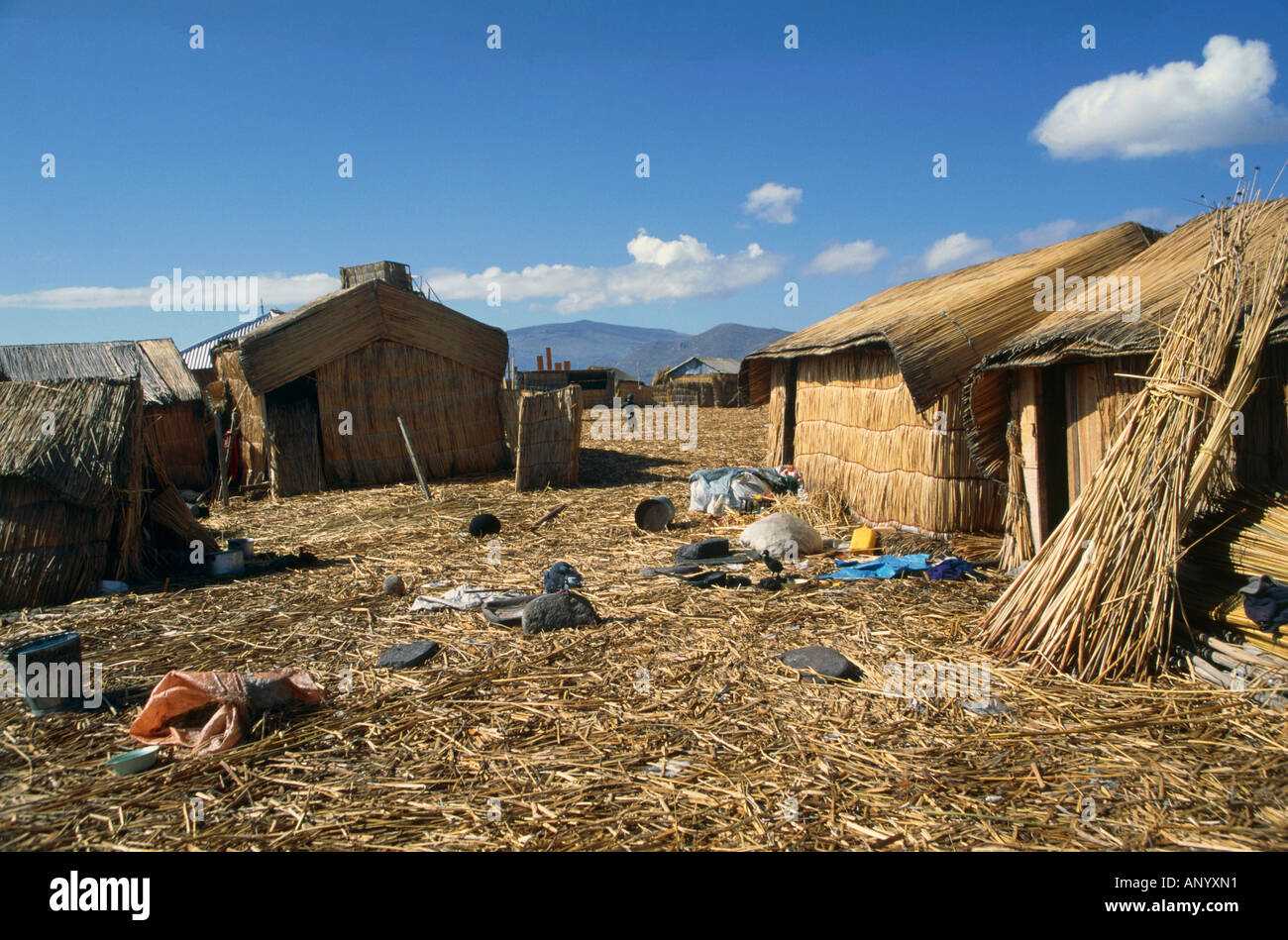 floating island made by totora reed lake titicaca peru bolivia Stock ...