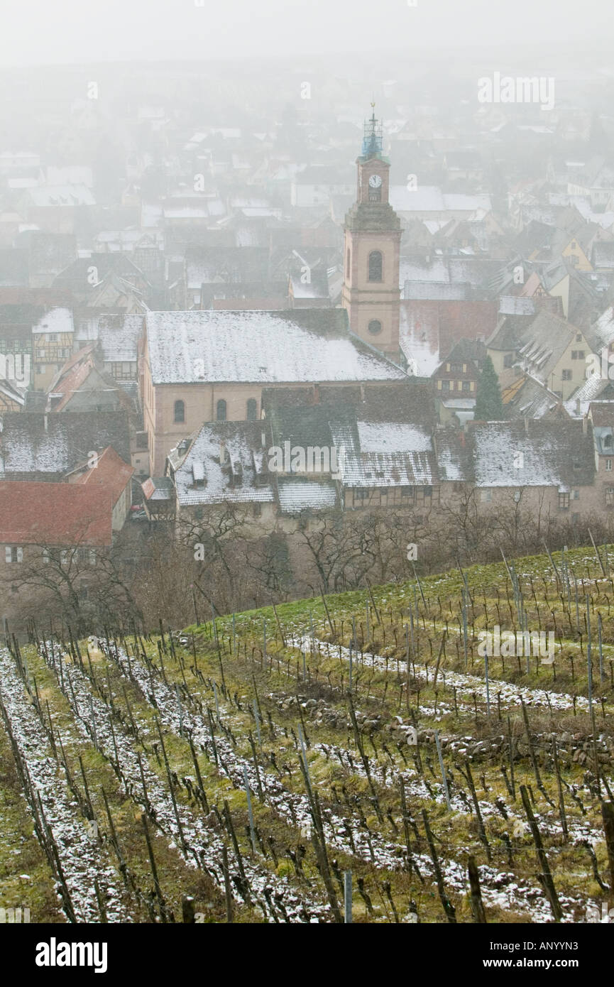 Alsace vineyard winter hi-res stock photography and images - Alamy