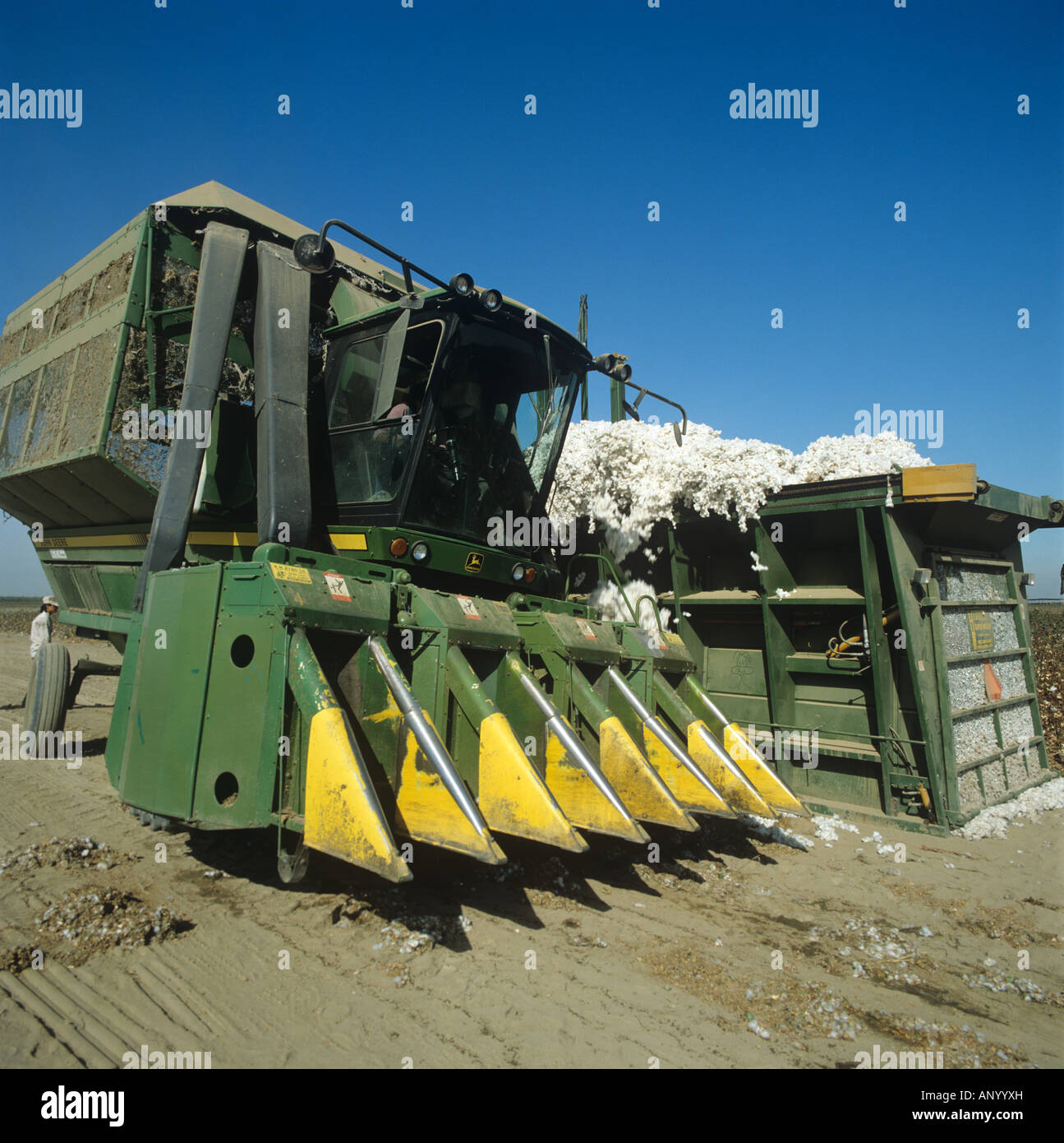 Cotton picker hi-res stock photography and images - Alamy