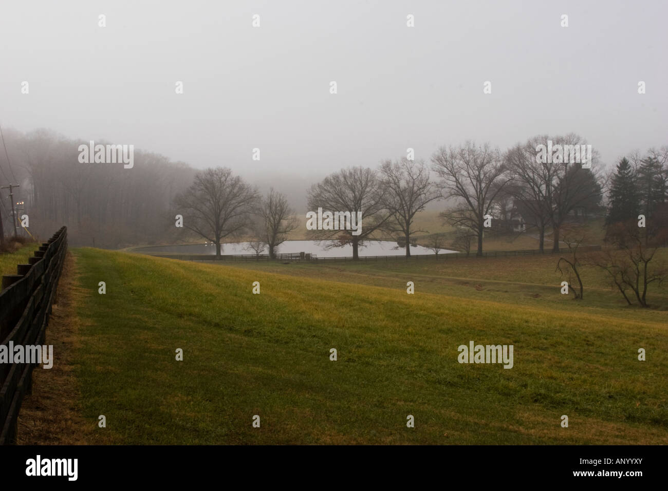 Fog field hi-res stock photography and images - Alamy